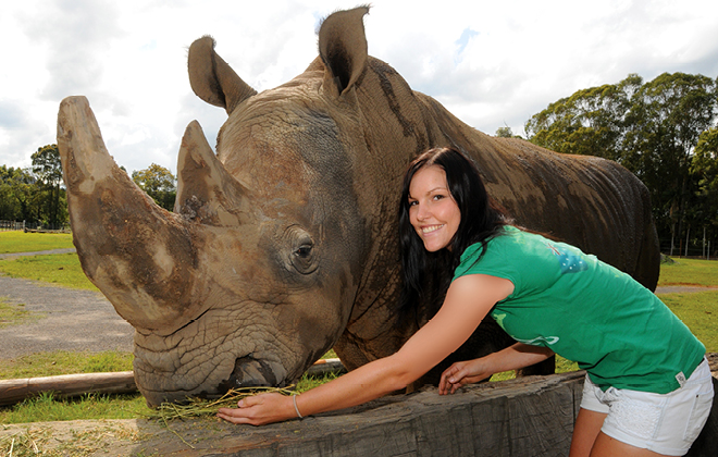 Ripper Rhinos Encounter - Australia Zoo
