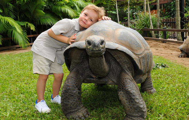 Totally Tortoise Encounter - Australia Zoo