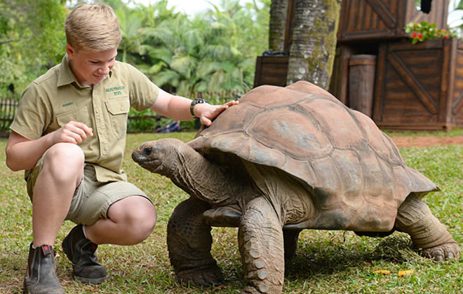 Totally Tortoise Encounter - Australia Zoo