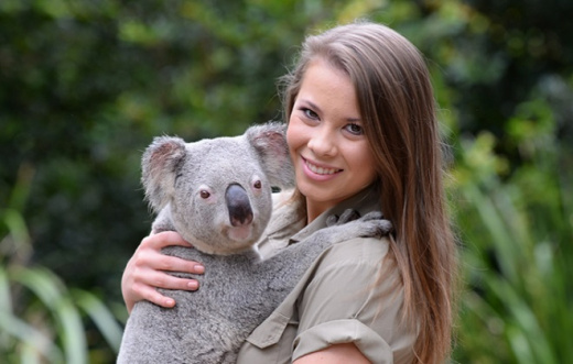 Cuddly Koala Encounter - Australia Zoo