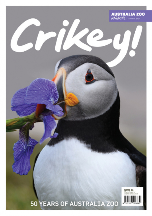 Crikey Magazine - Australia Zoo - The World’s WILDEST Magazine!
