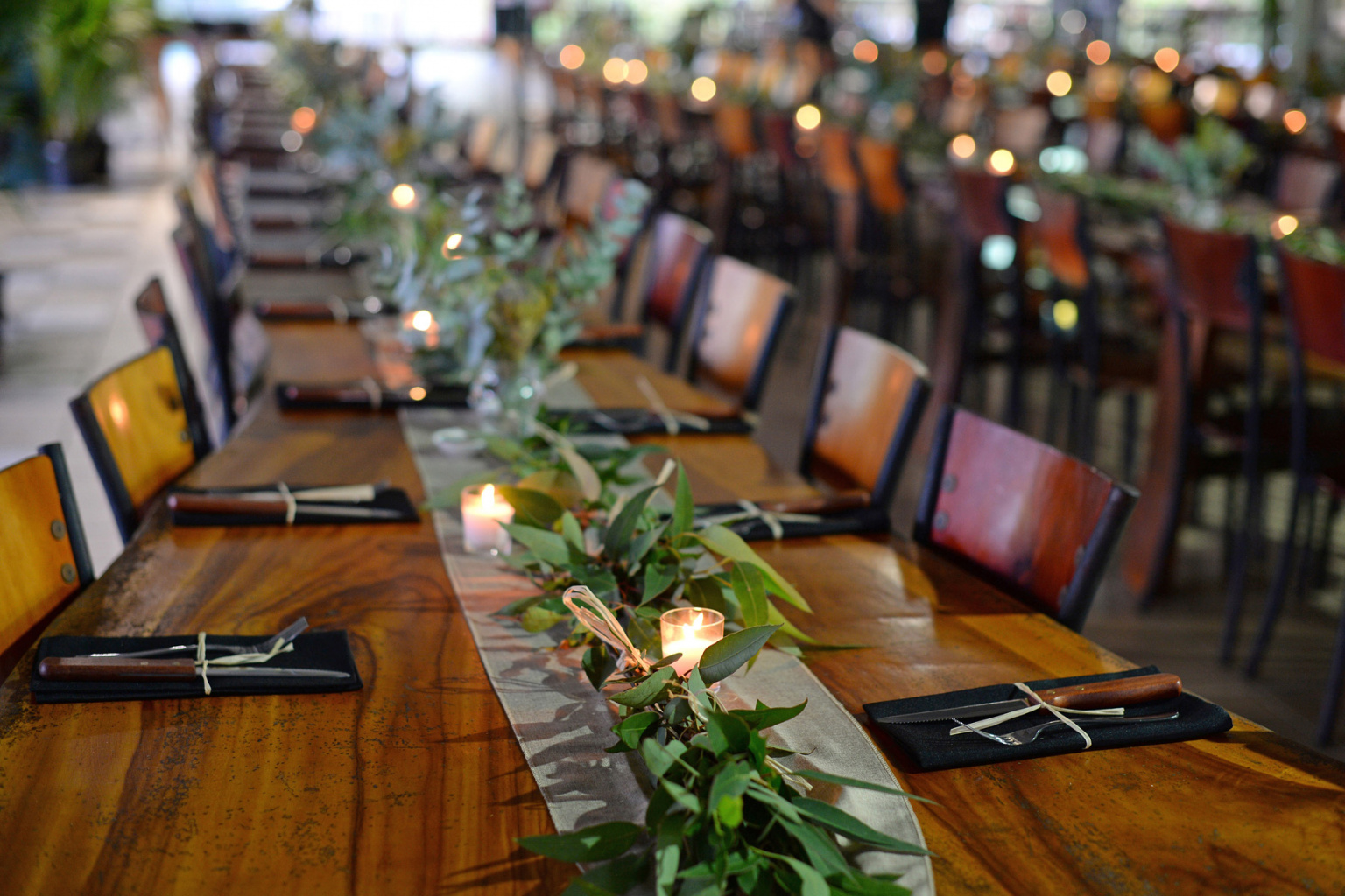 Wedding Reception Packages at Australia Zoo