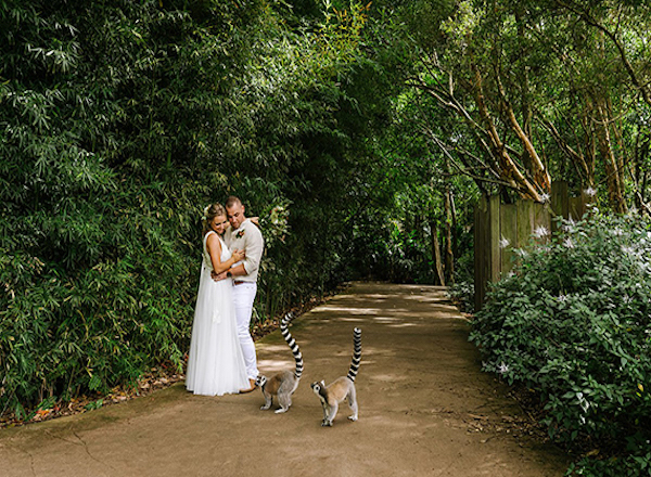 Wedding & Engagement Photography Package at Australia Zoo