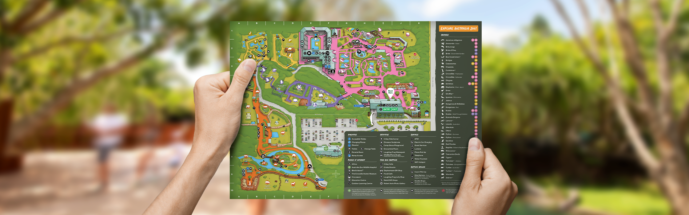 Zoo Map - Navigate Your Way Around Our Beautiful Australia Zoo