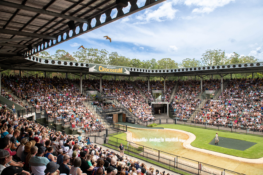 Valentine's Day - Australia Zoo